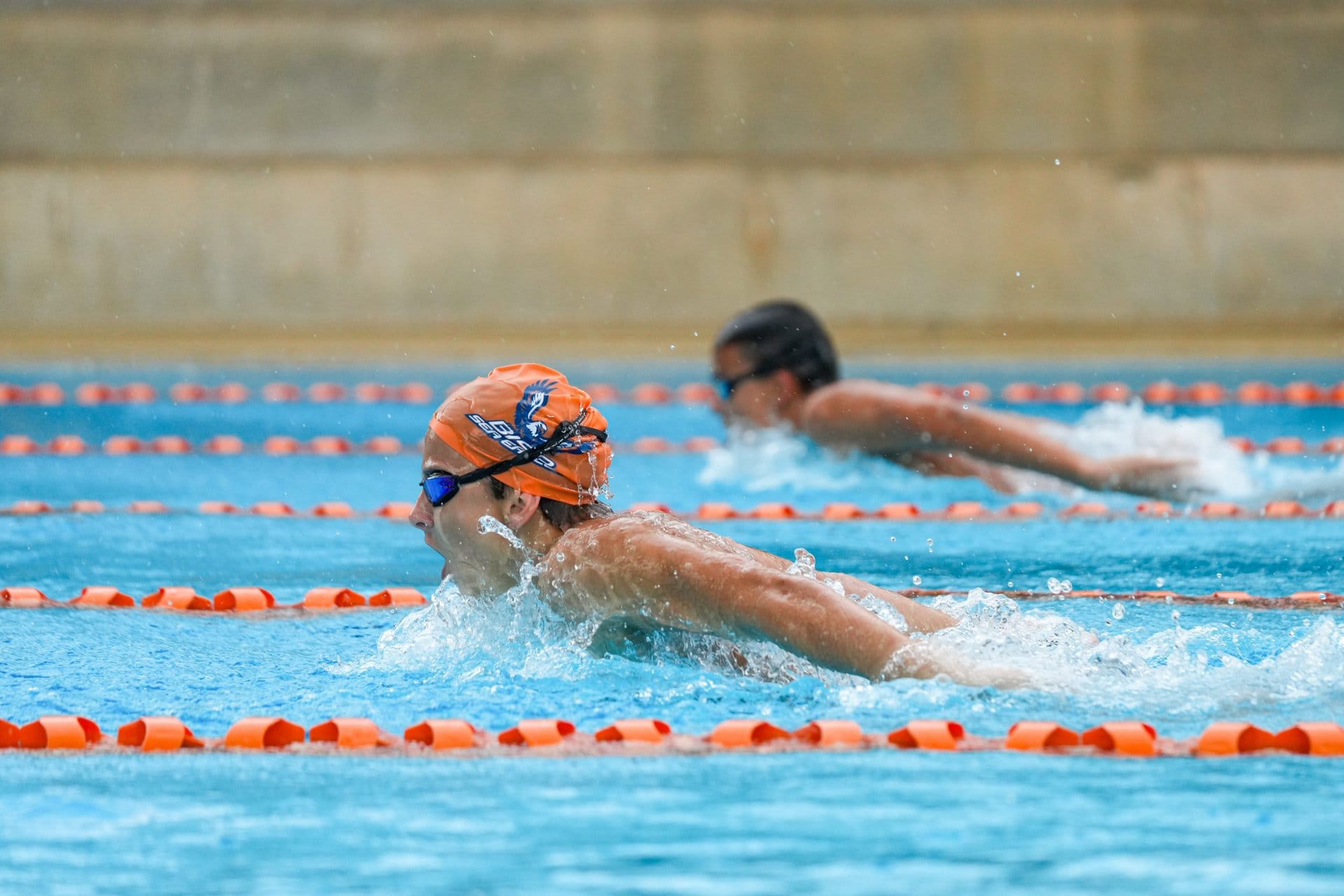 Strong Start for Sea Eagles Swim Programme | British International ...