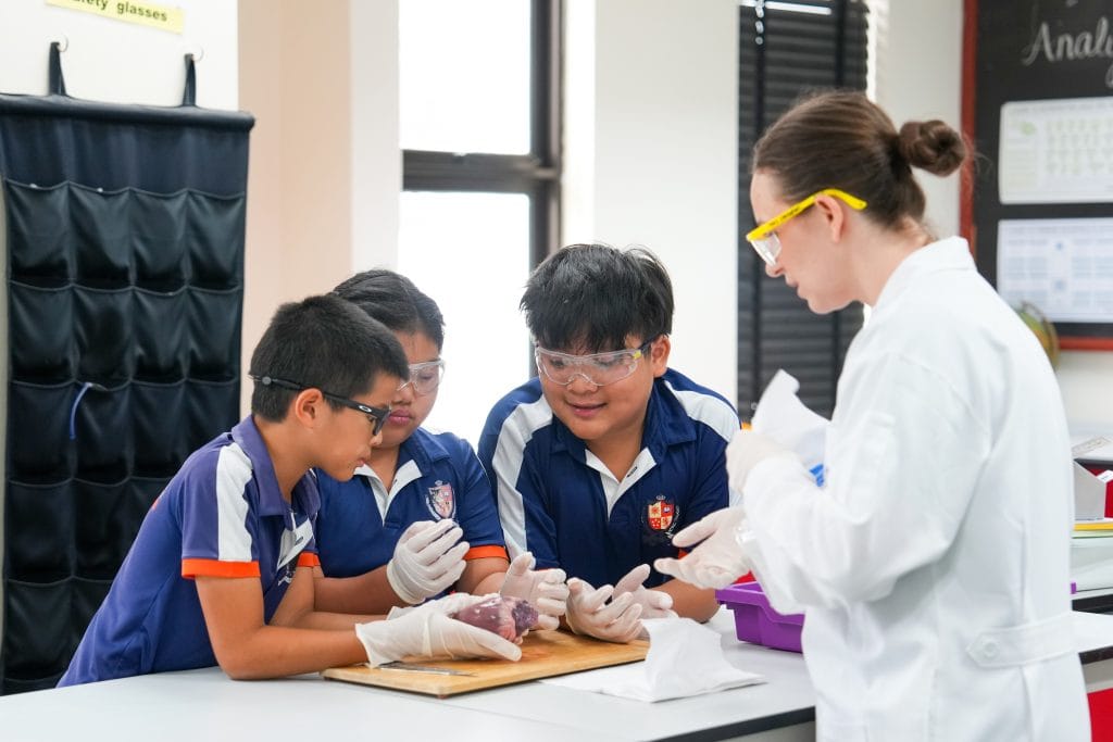 Year 6 Explore the Heart and Circulatory System | British International ...