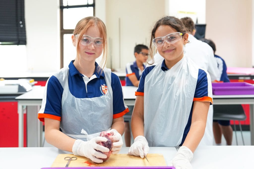 Year 6 Explore the Heart and Circulatory System | British International ...