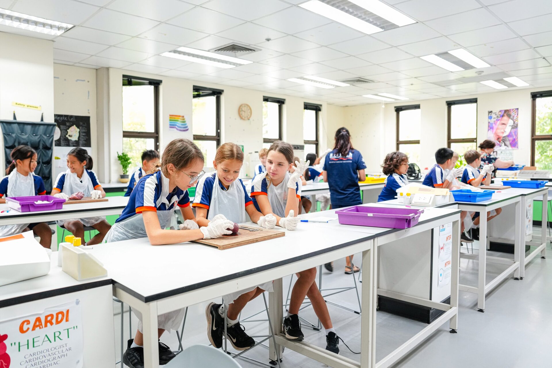 Year 6 Explore the Heart and Circulatory System | British International ...
